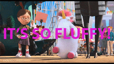 The Blogsmith’s No-BS Guide on How To Write Concisely